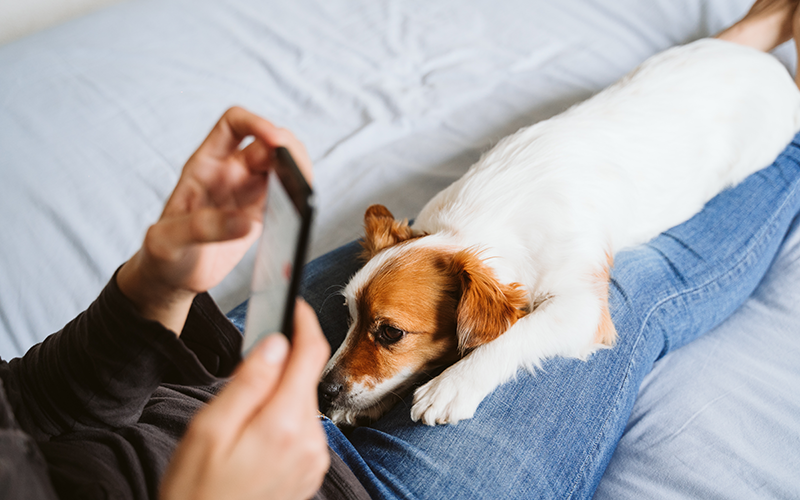 Run off your feet at curbside? Here’s how two-way texting can help ...