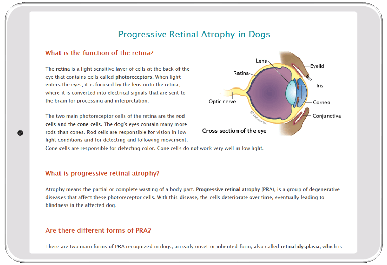 ClientEd | Veterinary Client Education Resource | LifeLearn