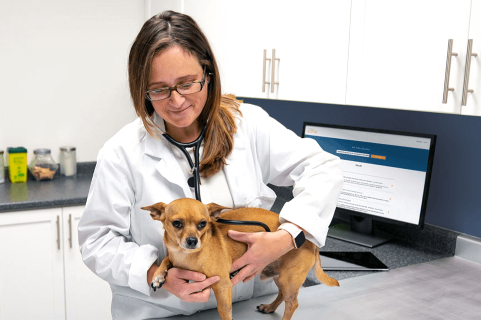 Ask Sofie | The Best Veterinary Search Tool & Information Resource