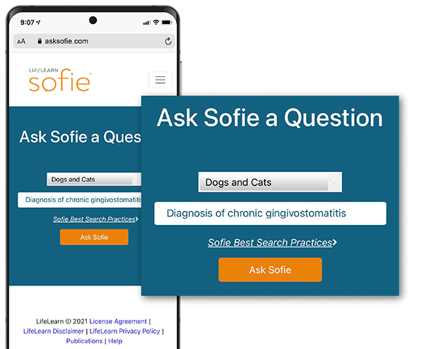Ask Sofie | The Best Veterinary Search Tool & Information Resource