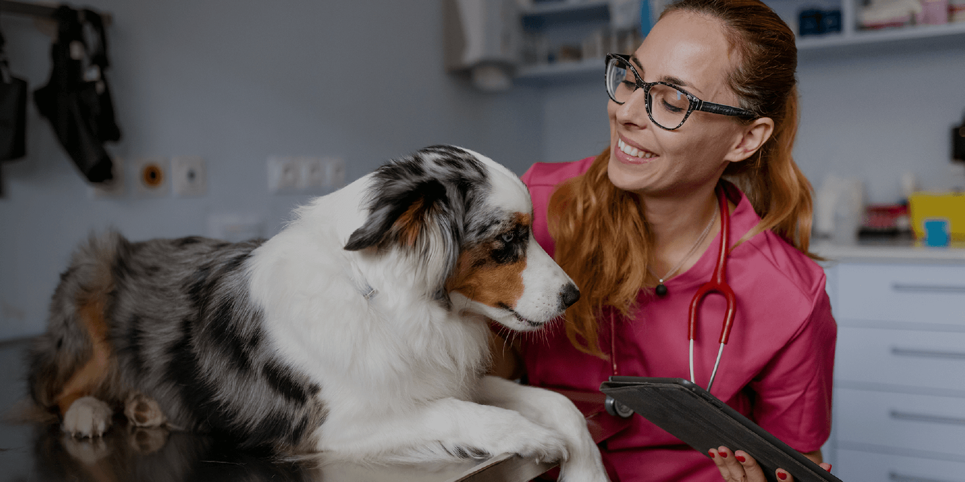 Veterinary Staffing and Retention Resources Download Form | LifeLearn Inc.