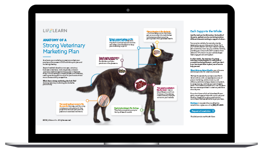 The Anatomy of a Strong Veterinary Marketing Plan Form | LifeLearn Inc.