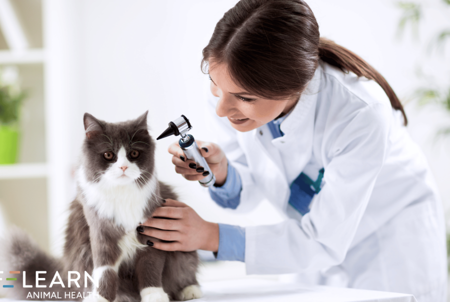 ProSites, Inc. Acquires GeniusVets, Positioning LifeLearn, Inc. as the ...